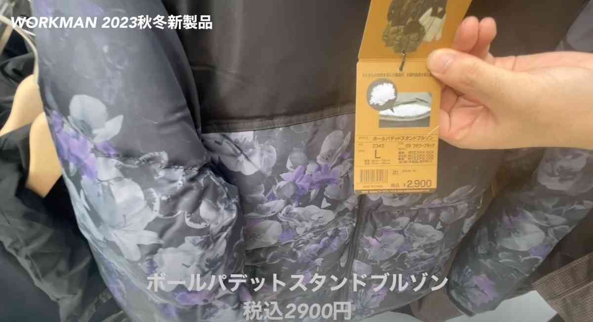 【ワークマン】2024新作アウター「ボールパデッドスタンドブルゾン」が2900円！特徴や入荷状況はいつ？ | イチオシ | ichioshi